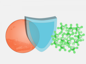 The challenge of planetary protection – COMPASS